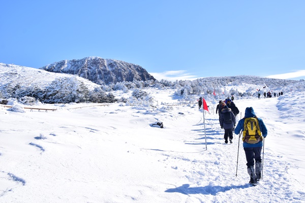 겨울 왕국 한라산 산행 , 이것만은 '꼭'